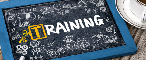 The Key to Franchise Success: Training and Support Programs | Franchise ...